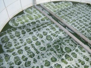 FlexAir - EDI Environmental Dynamics International