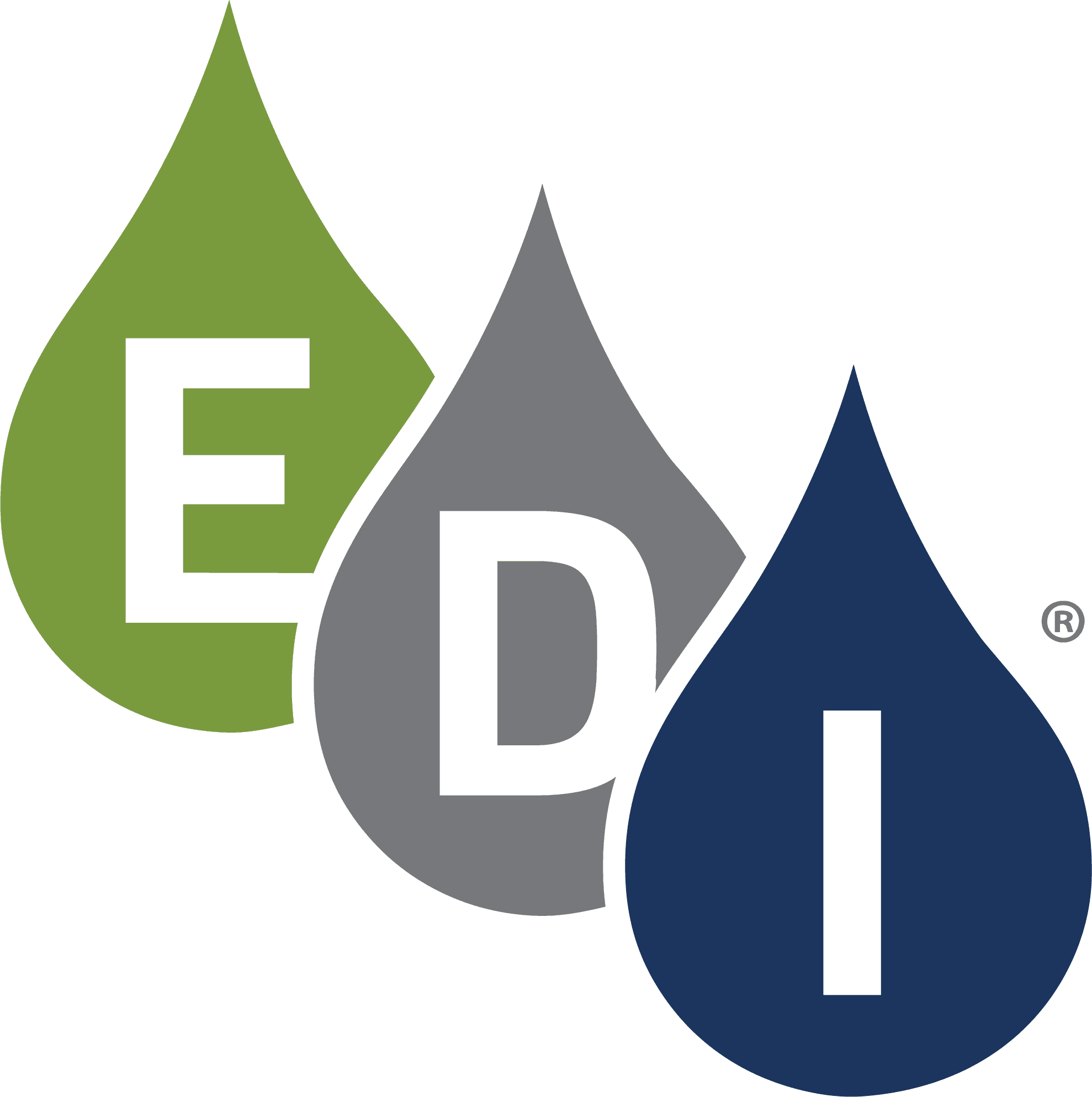 Edi Chennai Logo
