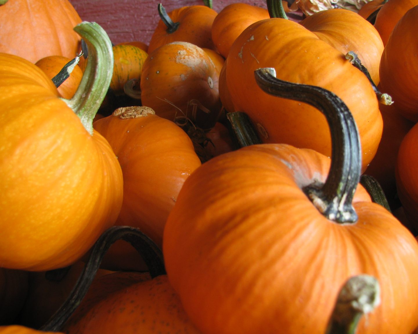 Sludge Removal and Diffuser Membrane Replacement WWT Lagoon at ...