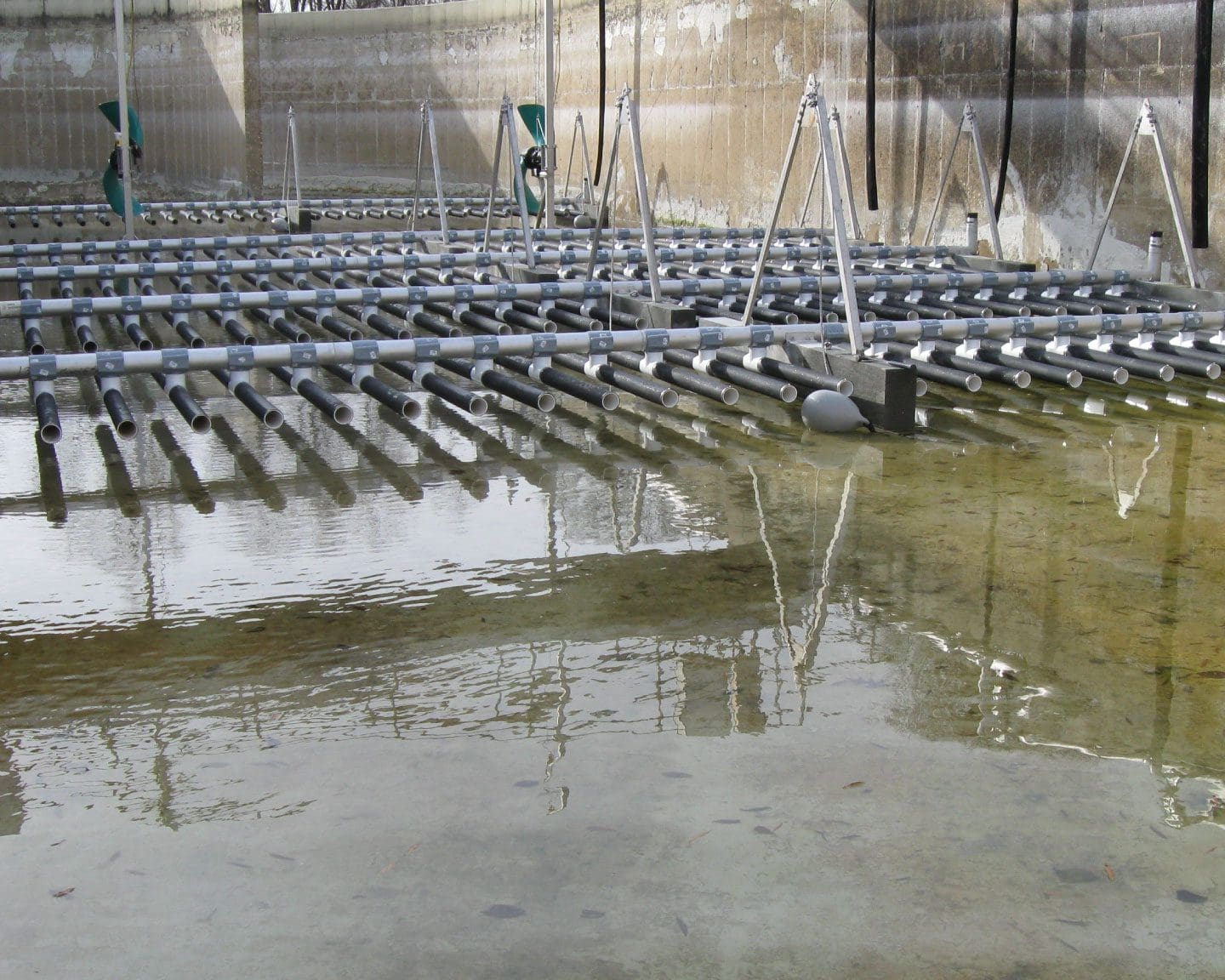 Optimization of Diffuser Systems - EDI Environmental Dynamics International