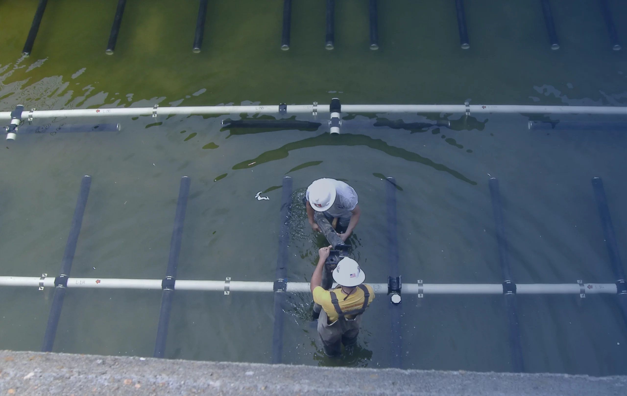 SiteWorks™ Continues to Grow a Happy Customer Base - EDI Environmental ...